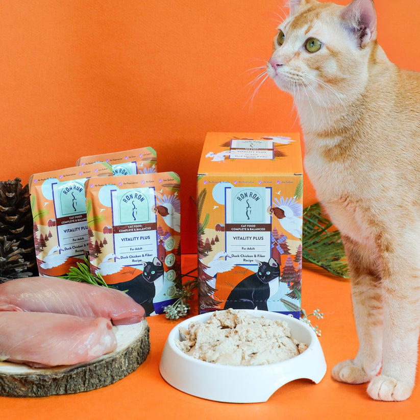 Vitality Plus Formula ( Box 12 Pouches ) – RON RON Premium Cat Food